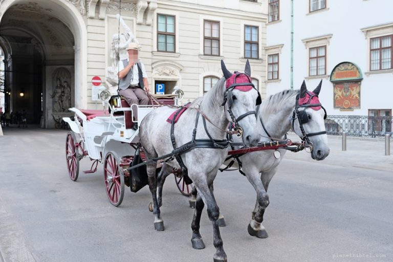 Wien mit Kindern: 7 kinderfreundliche Tipps für ein Wochenende