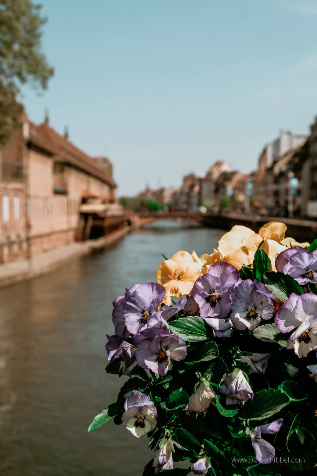 Straßburg: Ein Kurztripp in die pittoreske europäische Hauptstadt