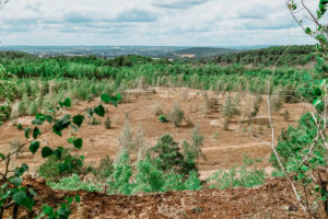 Luxemburg: 10 Tipps für die Region Minett