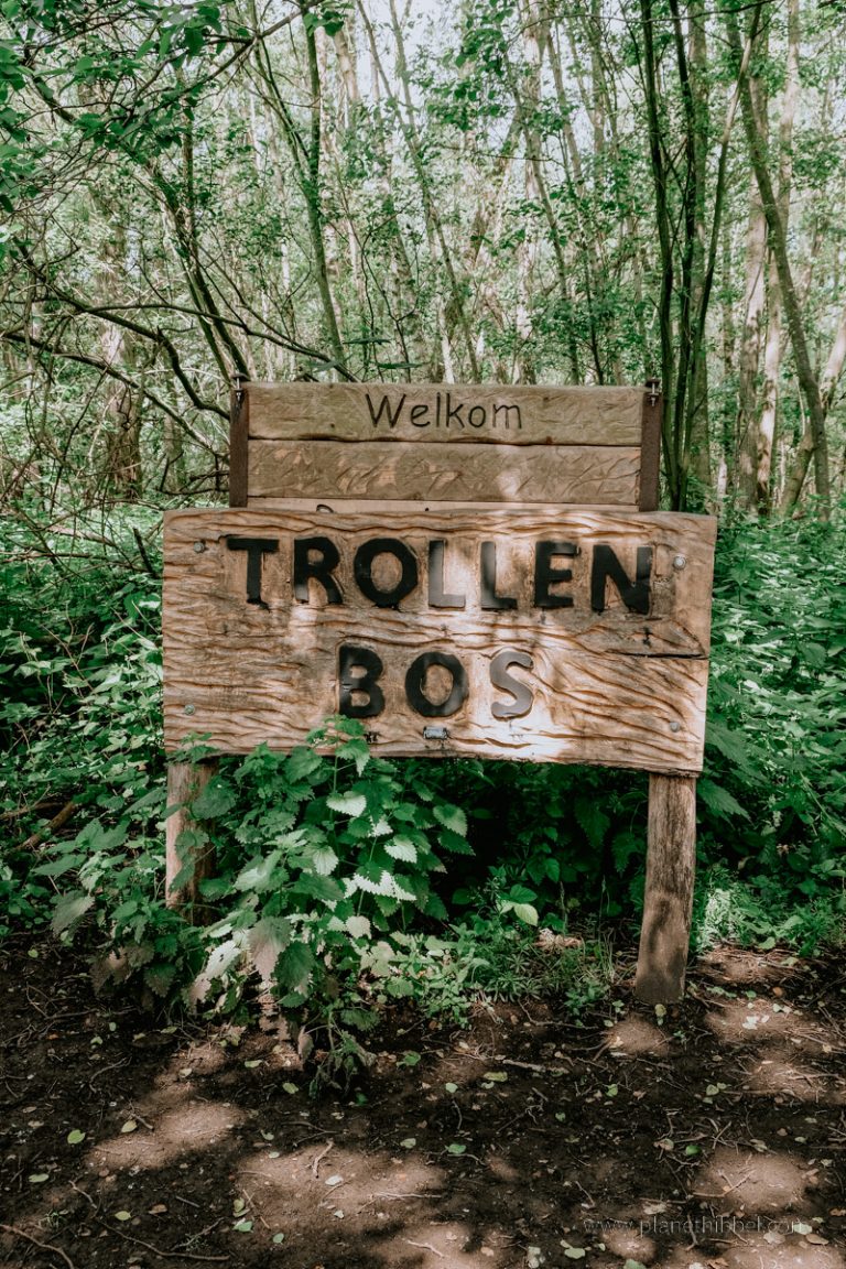 Belgien: Thomas Dambos märchenhafte Trolle in De Schorre